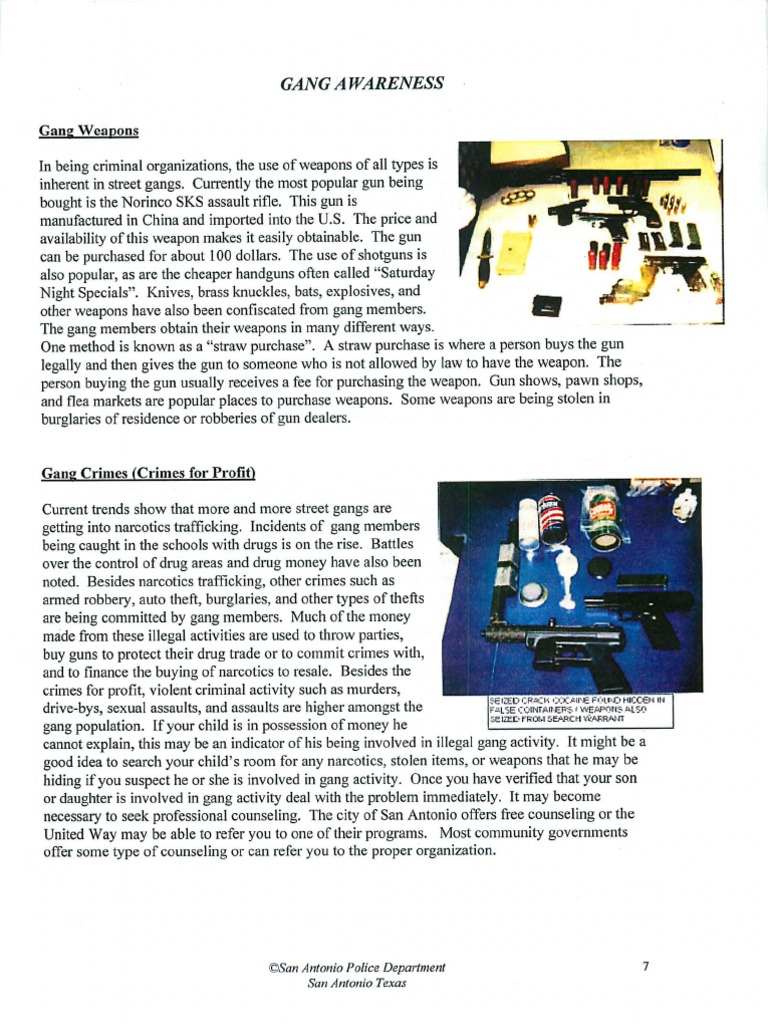Gang Info | PDF | Gang | Criminal Subcultures