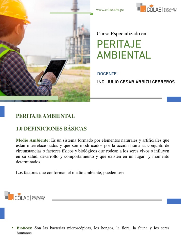 Peritaje Ambiental en el Perú: Claves y Retos | PDF | Agua | Contaminación