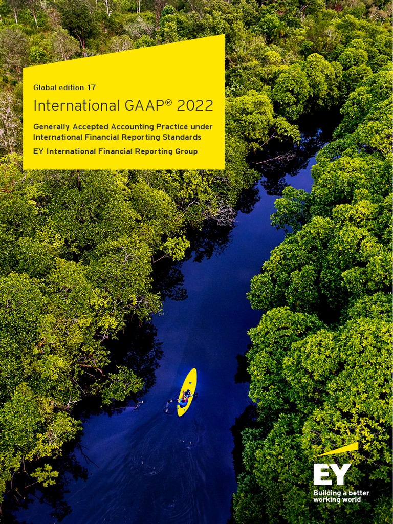International GAAP 2022: Generally Accepted Accounting Practice Under ...