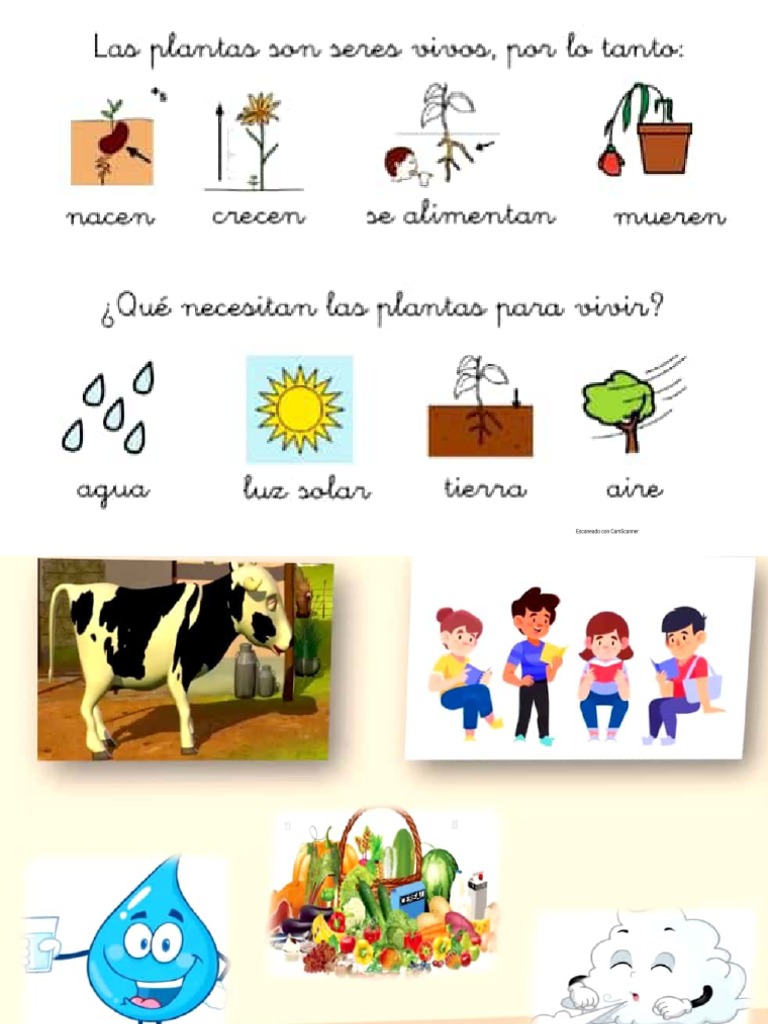 Necesidades Basicas De Los Seres Vivos