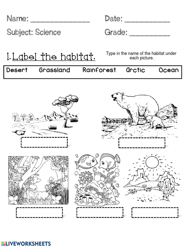 Label The Habitat.: Name: - Date: - Subject: Science Grade | PDF