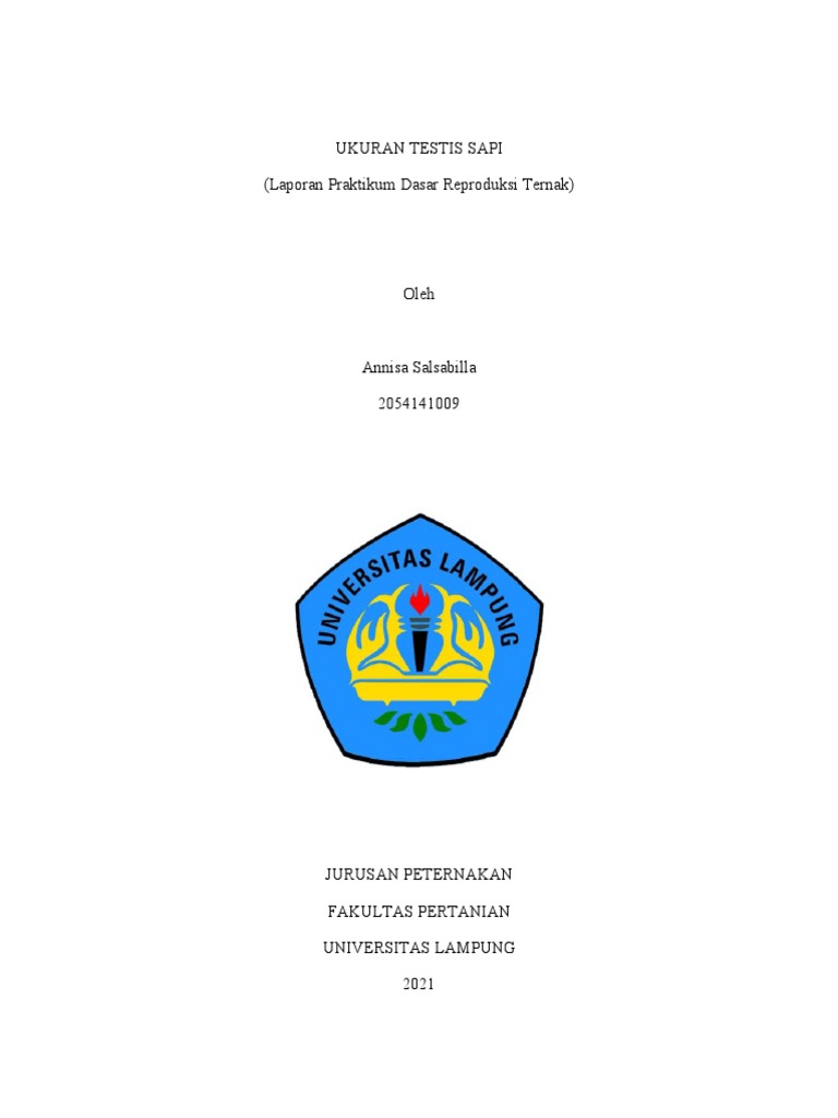 Ukuran Testis Sapi | PDF