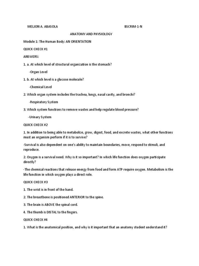 Module 1 Anatomy Physiology | PDF | Abdomen | Anatomy