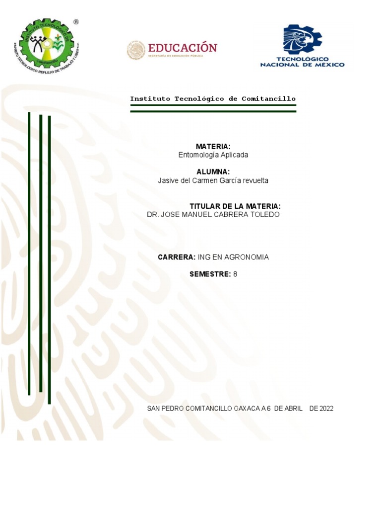 Instituto Tecnológico de Comitancillo: Materia: Alumna | PDF