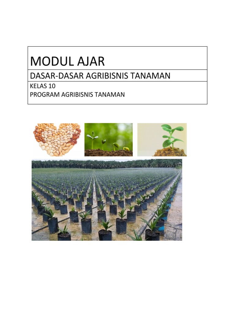 4.2. Modul Ajar Agribisnis Tanaman | PDF