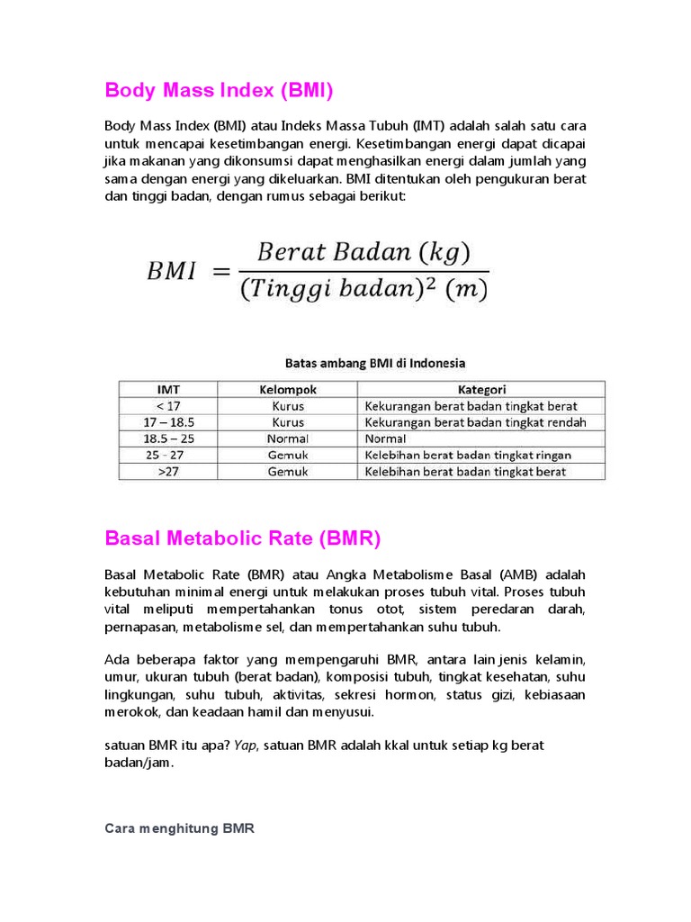 Body Mass Index (BMI) : Cara Menghitung BMR | PDF