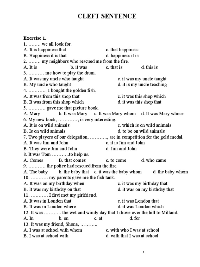 Cleft Sentence: Exercise 1 | PDF