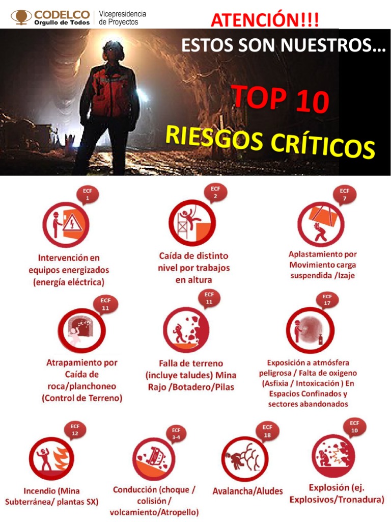 Afiche 10 Riesgos Críticos | PDF