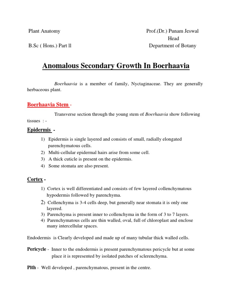 Punam Jaiswal UG-II Anomalous Secondary Growth in Boerhaavia | PDF ...