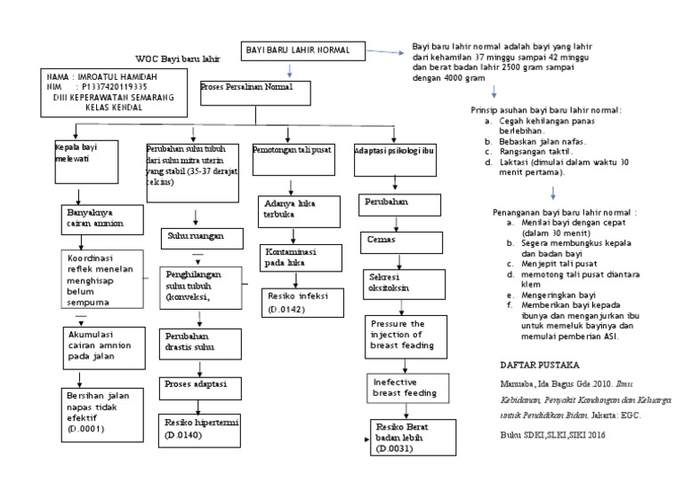 Woc Bayi Baru Lahir Pdf