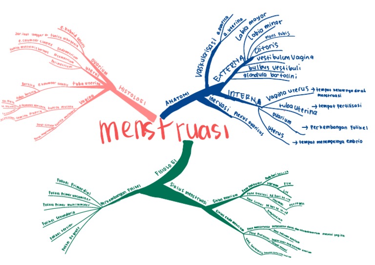 Mind Map Menstruasi | PDF