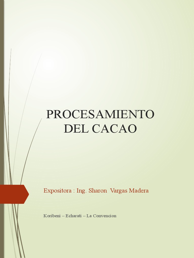Procesamiento General de Cacao | PDF | Fermentación | Chocolate
