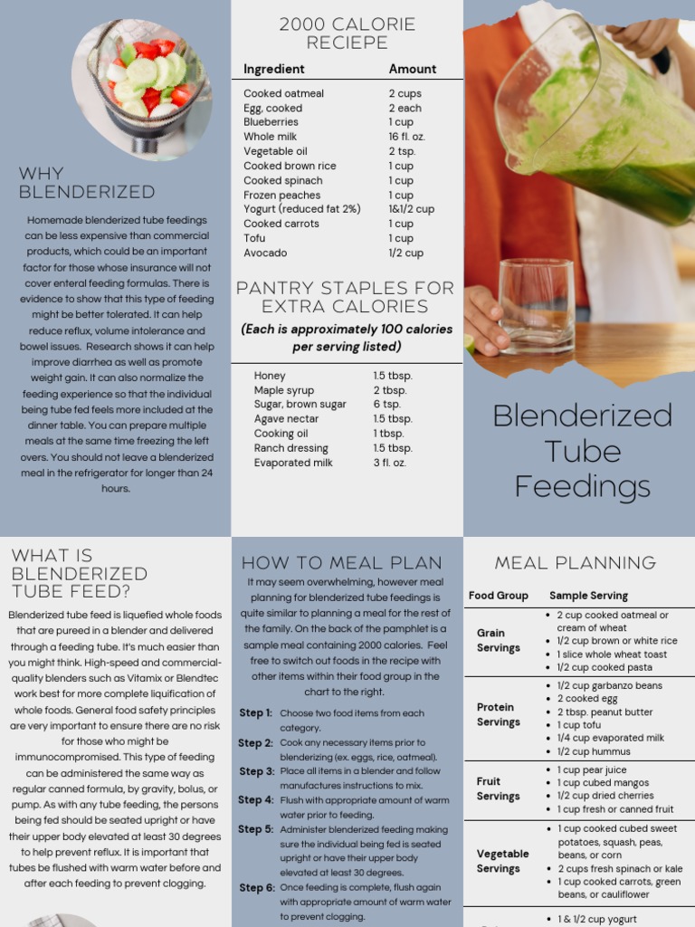 Blenderized Tube Feeding Brochure | PDF