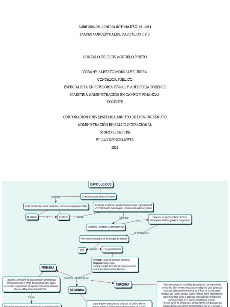 Mapa Conceptual Cap. 2 y 3, Auditoria Del Control Interno | PDF | Política | Ciencias sociales
