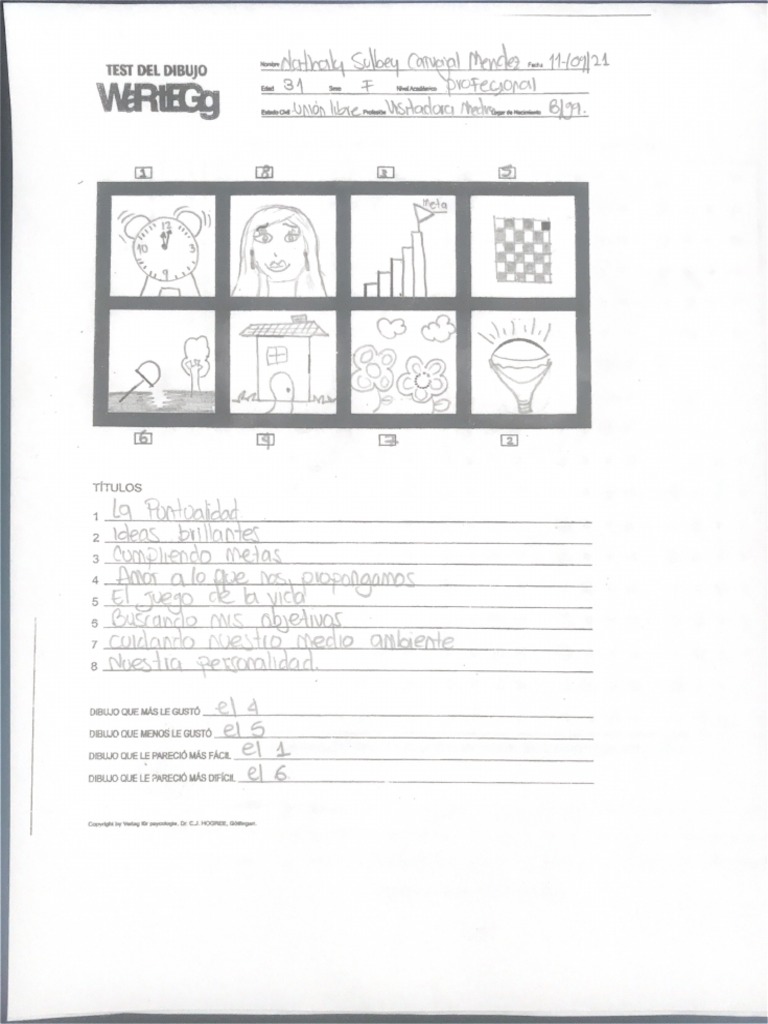 Test Dibujo | PDF