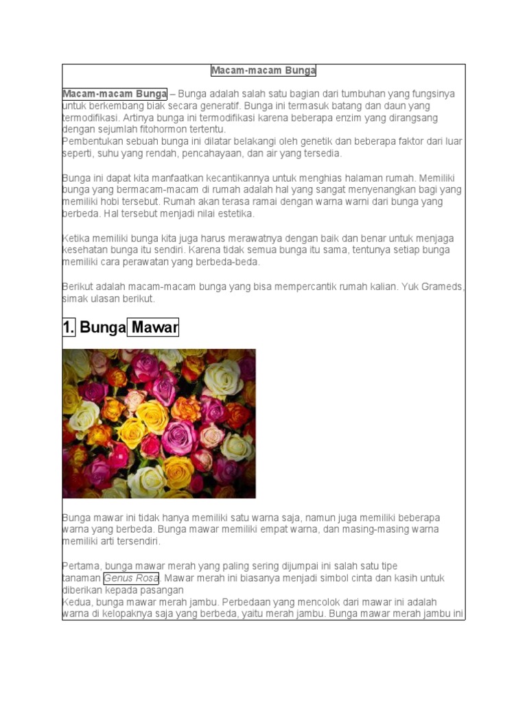 Macam-Macam Bunga | PDF