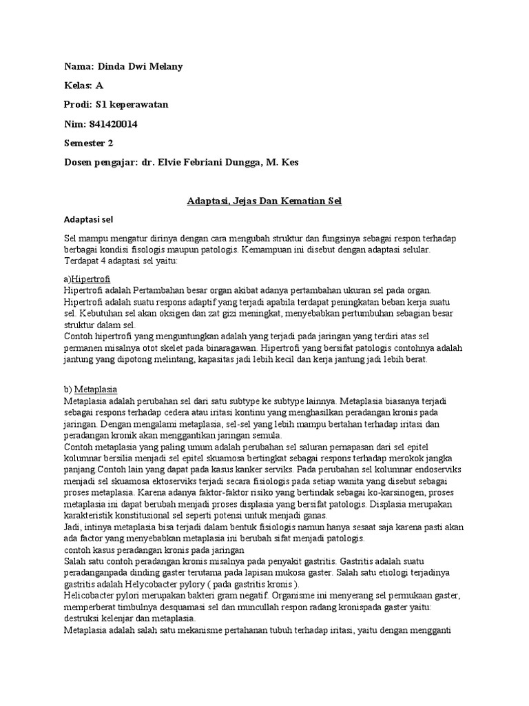 Dinda Dwi Melany Tugas Idk 2 | PDF
