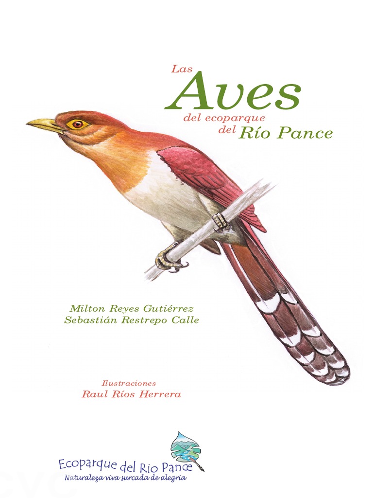 2004 - Las Aves Del Ecoparque Del Rio Pance | Descargar gratis PDF ...