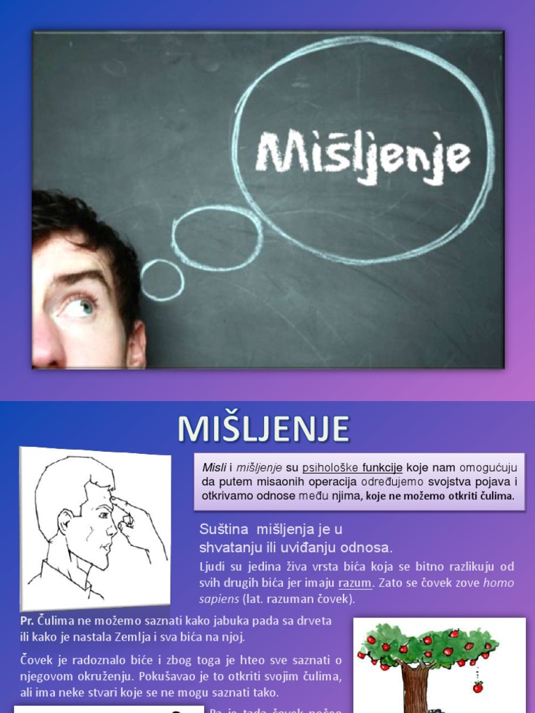 Misljenje | PDF