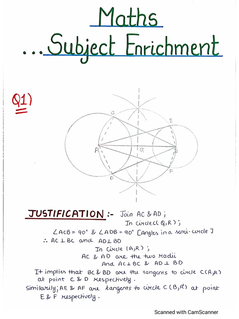 Maths Subject Enrichment Activity (Class 10) | PDF