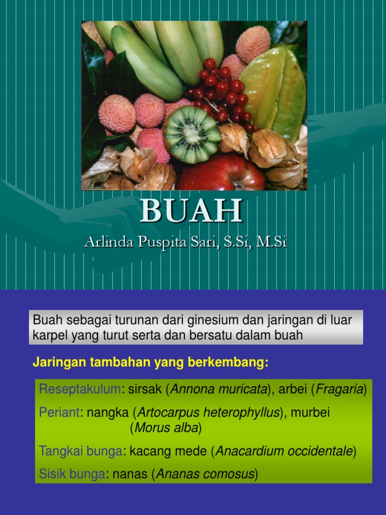 Klasifikasi dan Jenis Buah | PDF | Griya & Taman | Sains & Matematika