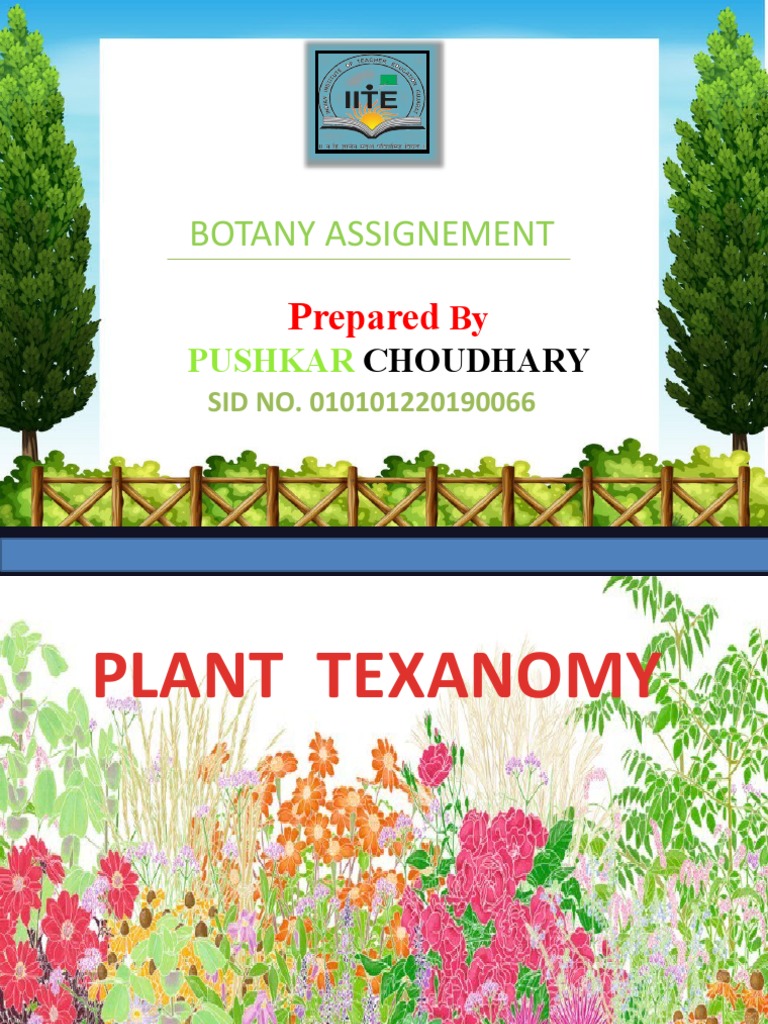 Different Plants Description | PDF | Leaf | Fruit
