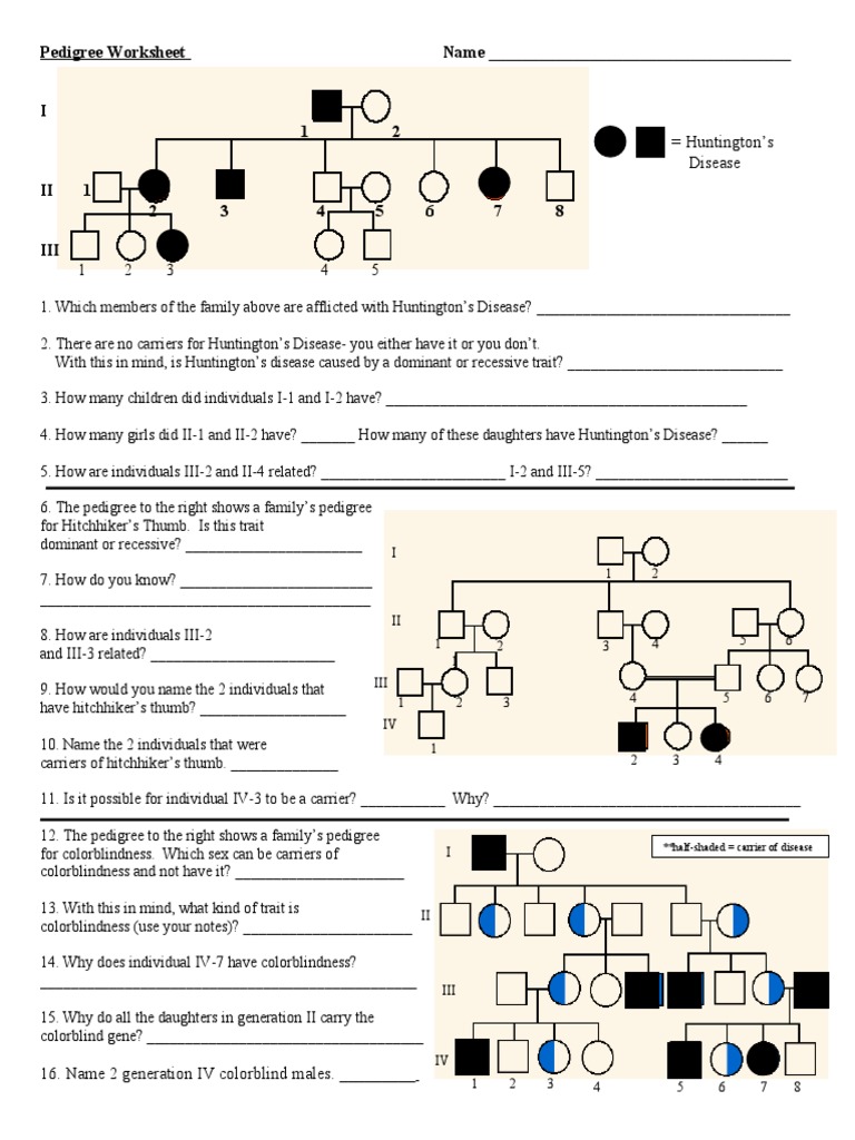 Pedigree Analysis Worksheet | PDF | Zygosity | Dominance (Genetics)