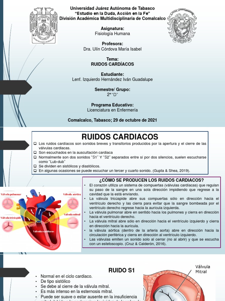 Ruidos Cardiacos | PDF | Corazón | Fisiología Cardiovascular