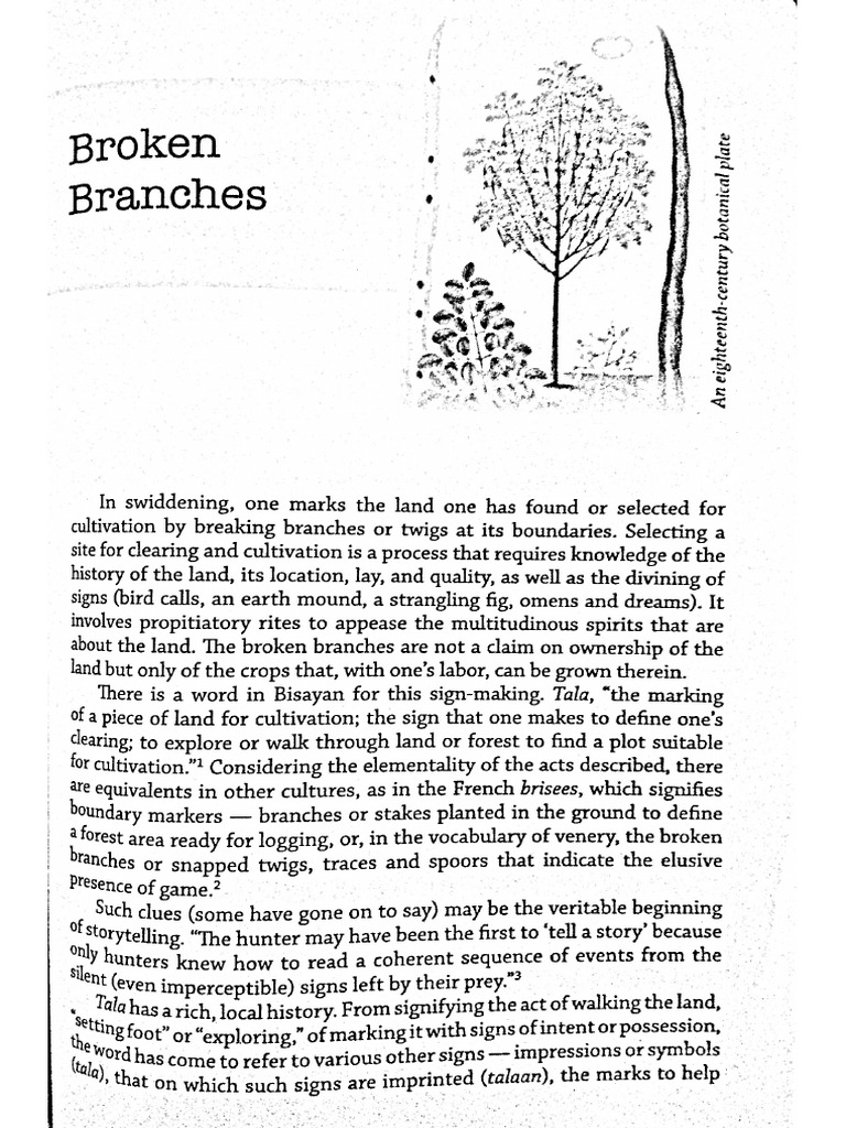 Isabelo Archive 17 | PDF