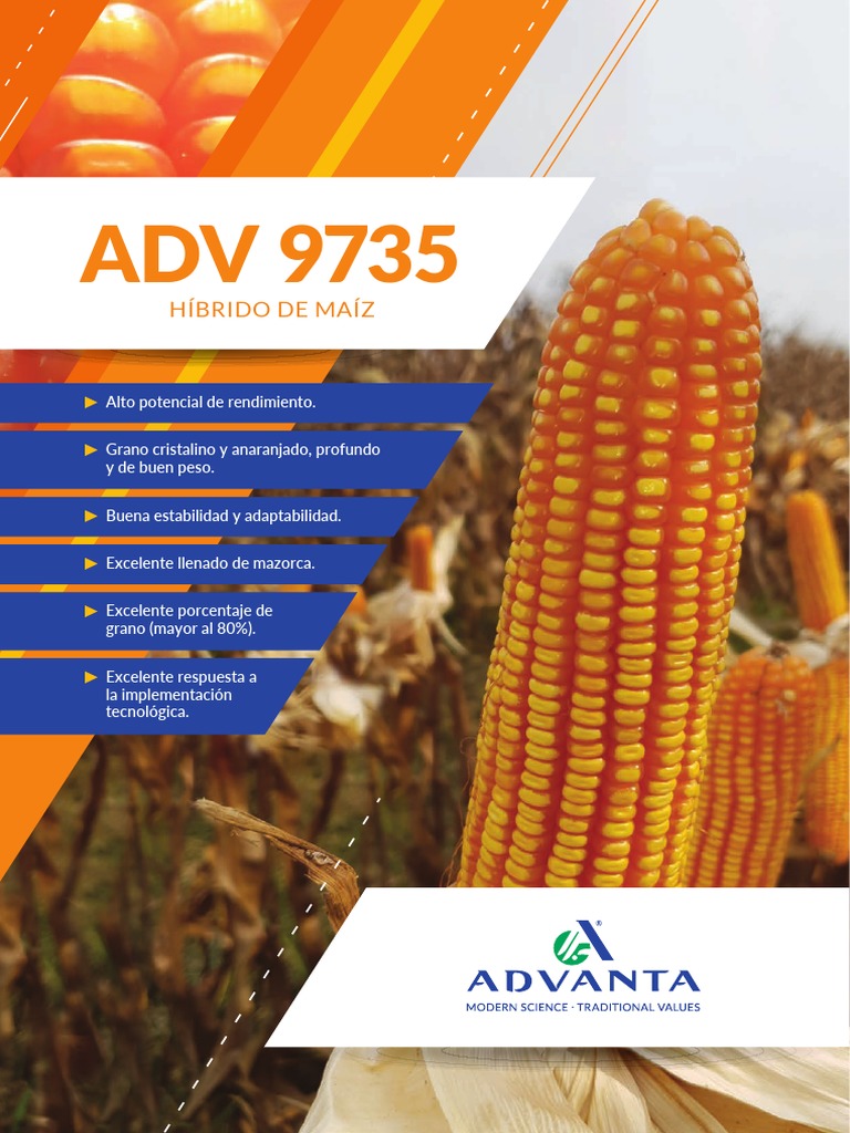 Ficha ADV 9735 | PDF