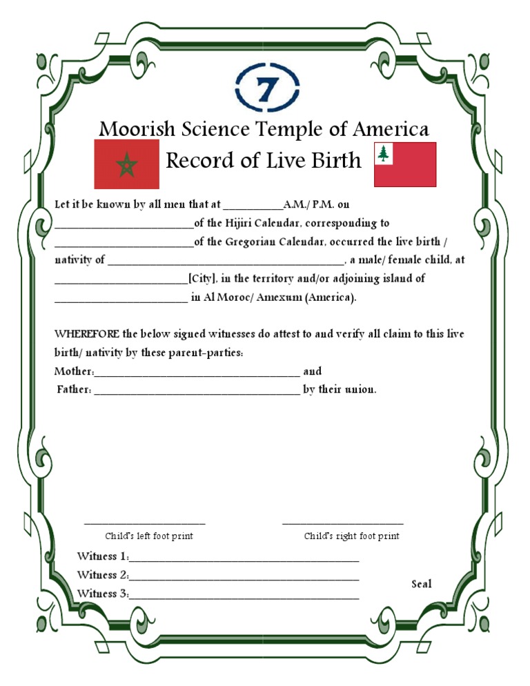Birth Record Baby---Pdf to write in entries