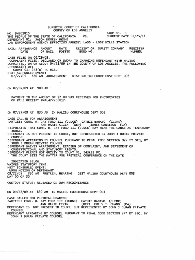Jason Beghe 2011-02-24 - Court Docket Sheet | PDF | Plea | Probation