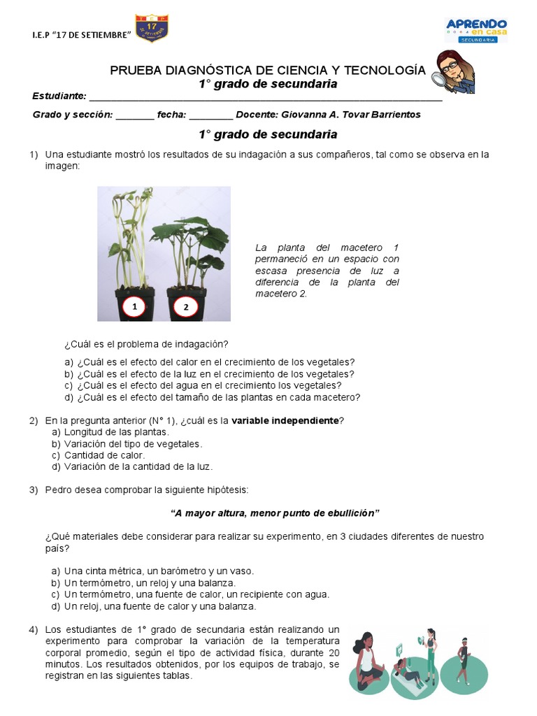 PRUEBA DIAGNÓSTICA DE CIENCIA Y TECNOLOGÍA - Primero | PDF