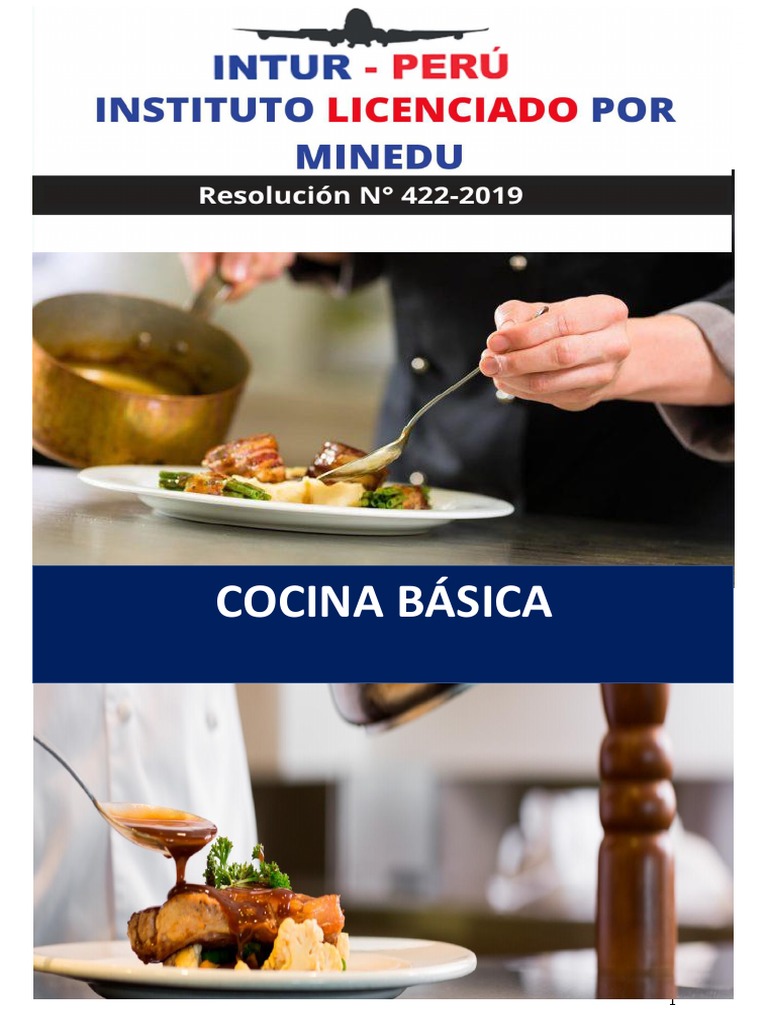 Introducción a la Cocina Básica | PDF