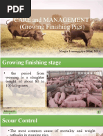 Pig Medication Schedule | PDF