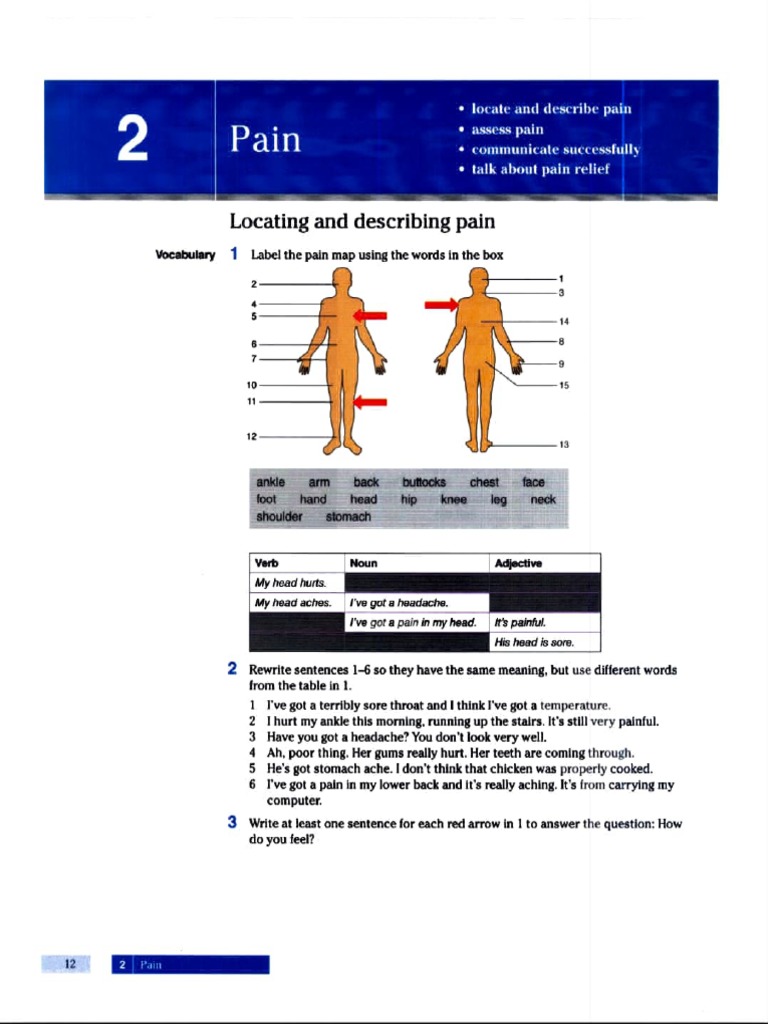 Pain | PDF