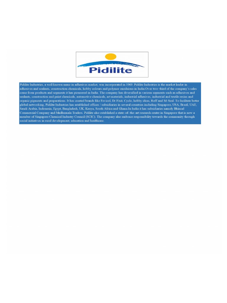 Pidilite - Financial Model | PDF