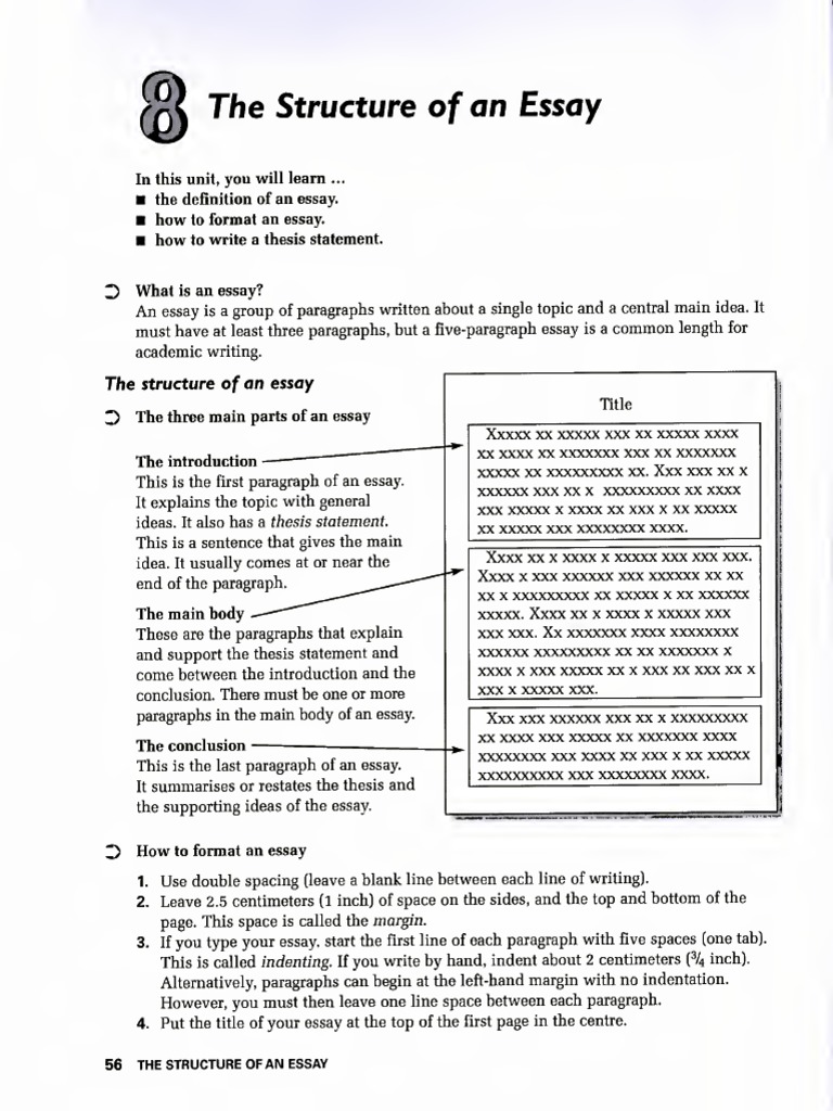 Structure of The Essay | PDF