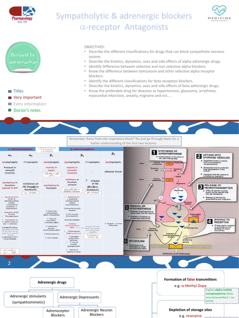 1-Alpha Adrenergic Blockers | PDF