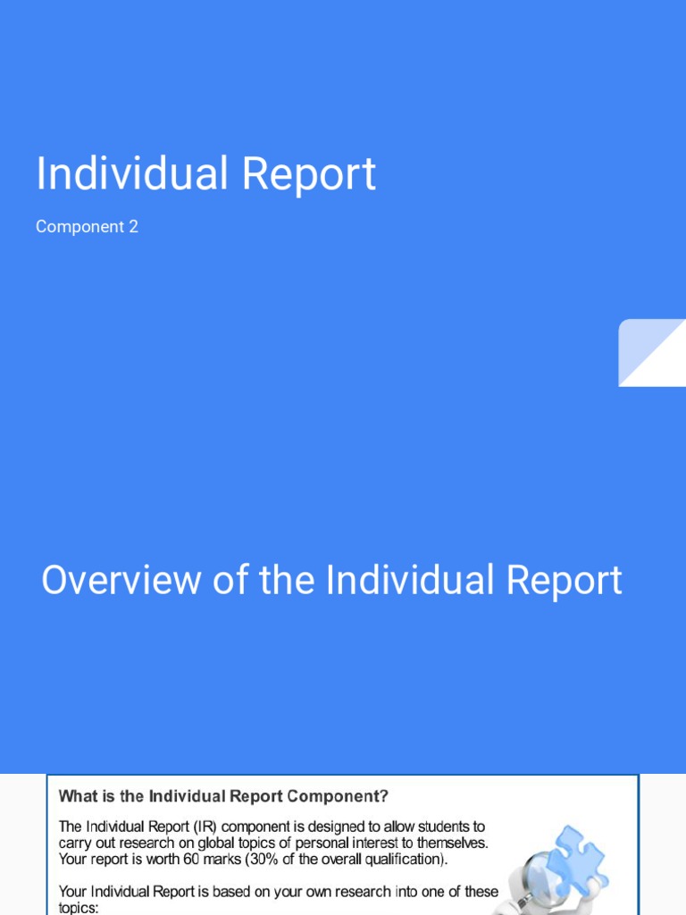 Individual Report Overview | PDF