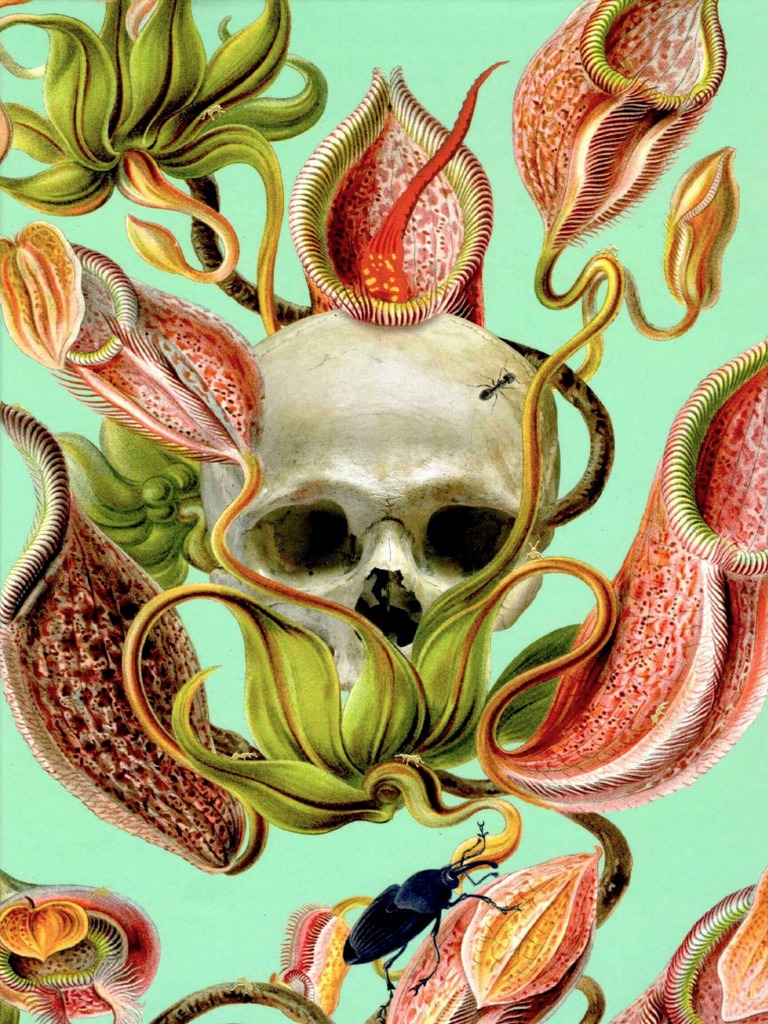 O Mundo Invisível Entre Nós - Caitlín R. Kiernan | PDF