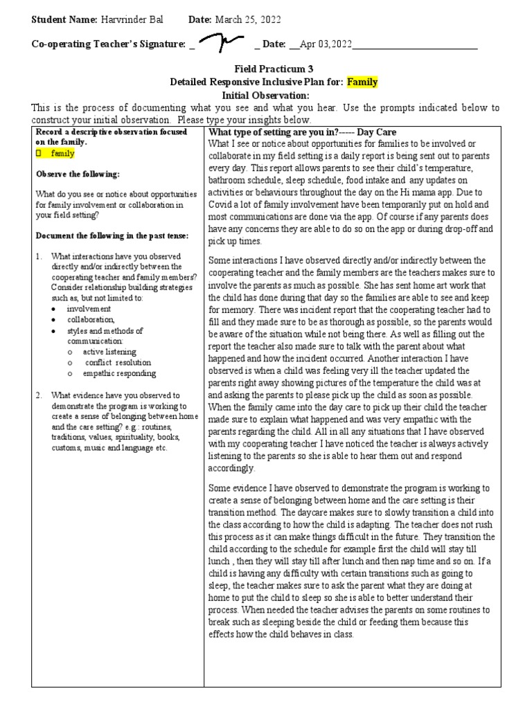 Field Practicum 3 Family Detailed Responsive Inclusive Plan Final ...