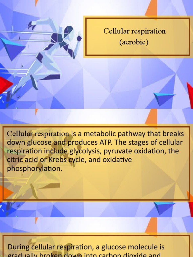 Overview of Cellular Respiration Process | PDF | Cellular Respiration ...