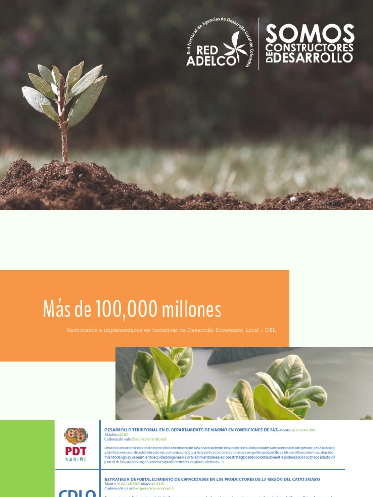 Esta Es La Red ADELCO y Sus ADEL | PDF