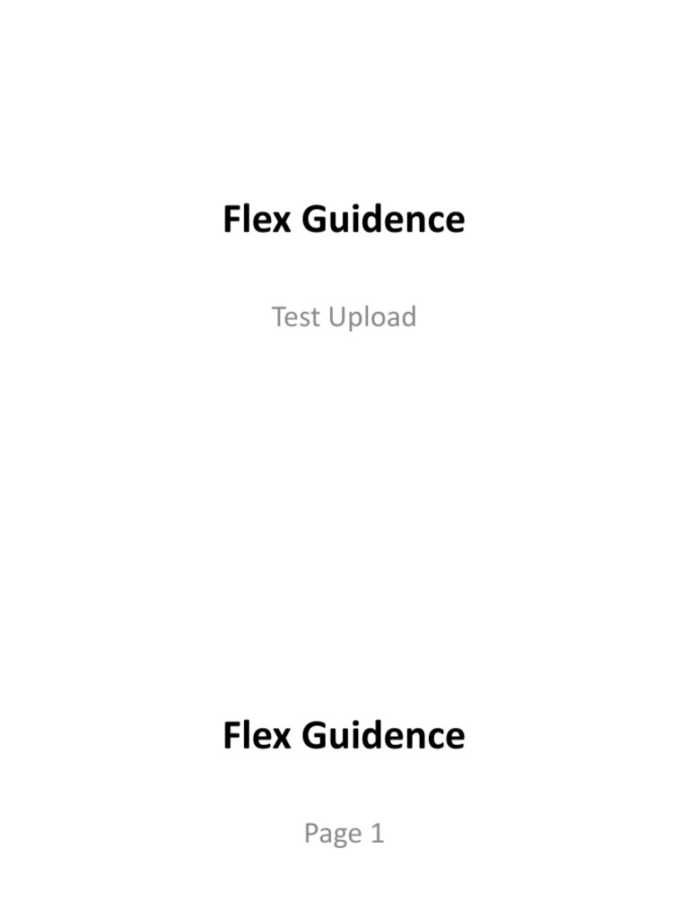 Flex Guidance Document Overview | PDF