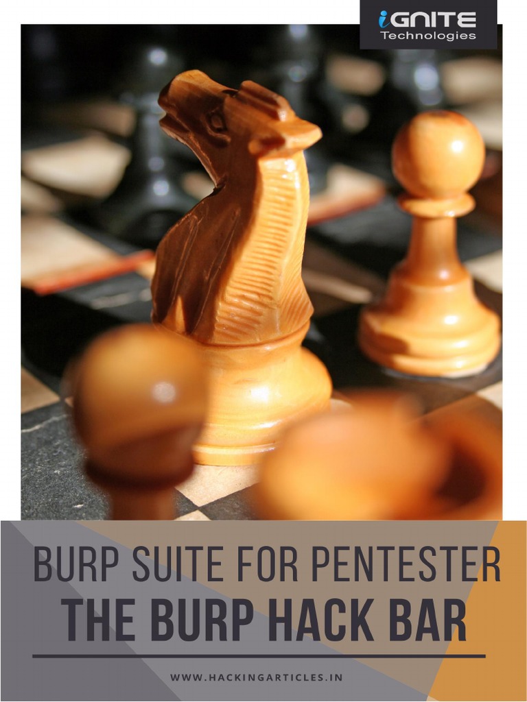 Advance Burp Suite Training (Online) | PDF