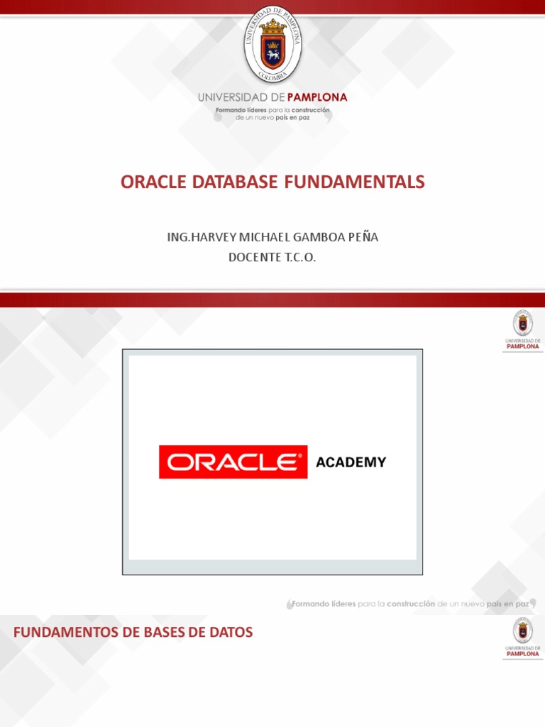 Fundamentos BD - Data Modeler | PDF