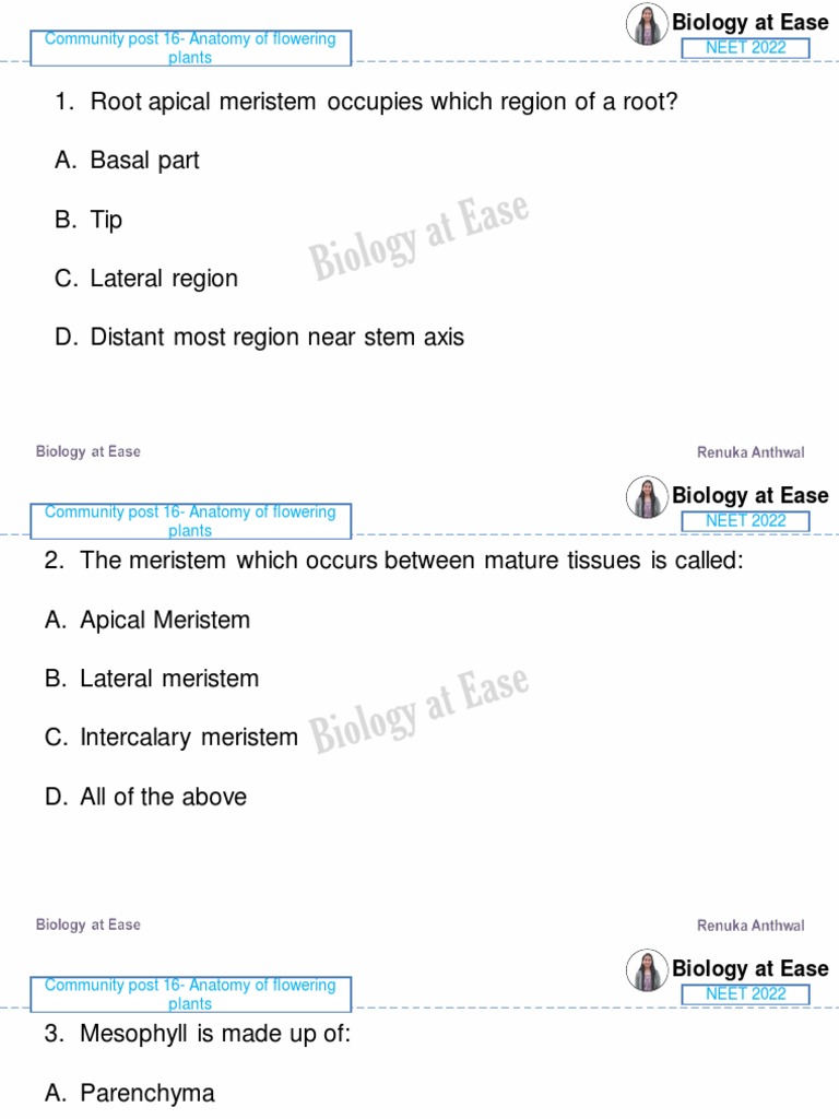 Root Apical Meristem Occupies Which Region of A Root? A. Basal Part B ...