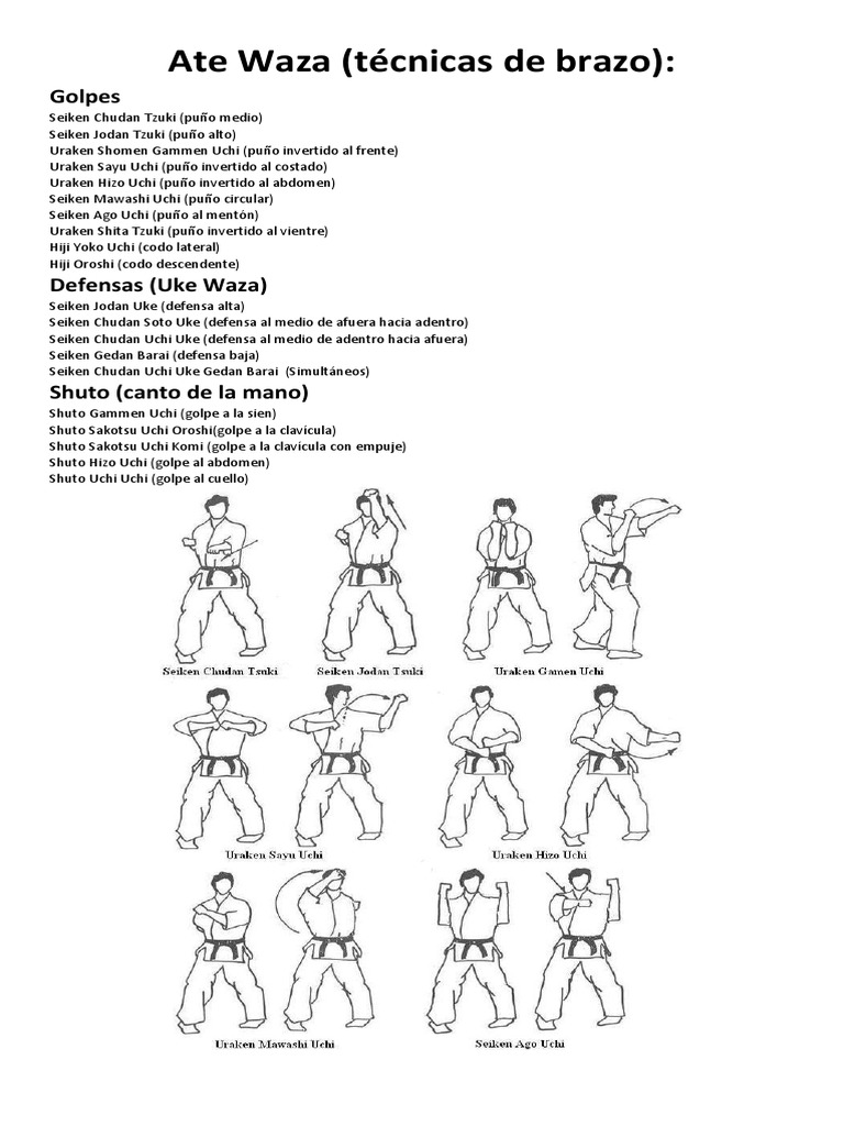 Tecnicas Basicas | PDF