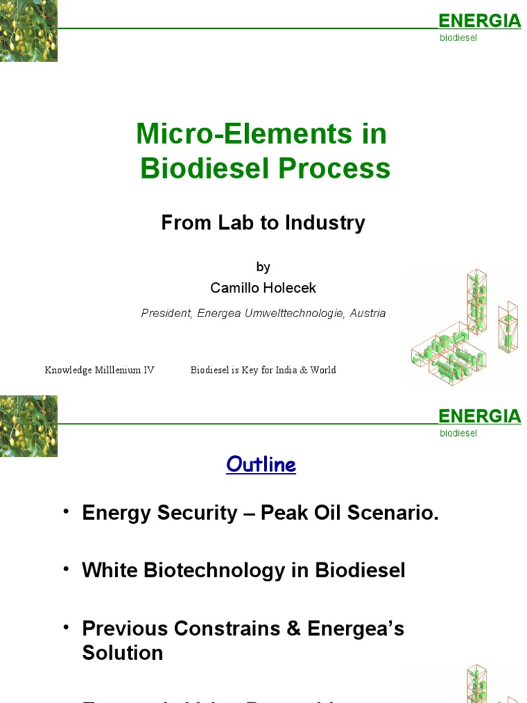 Micro-Elements in Biodiesel Process: From Lab To Industry | PDF ...